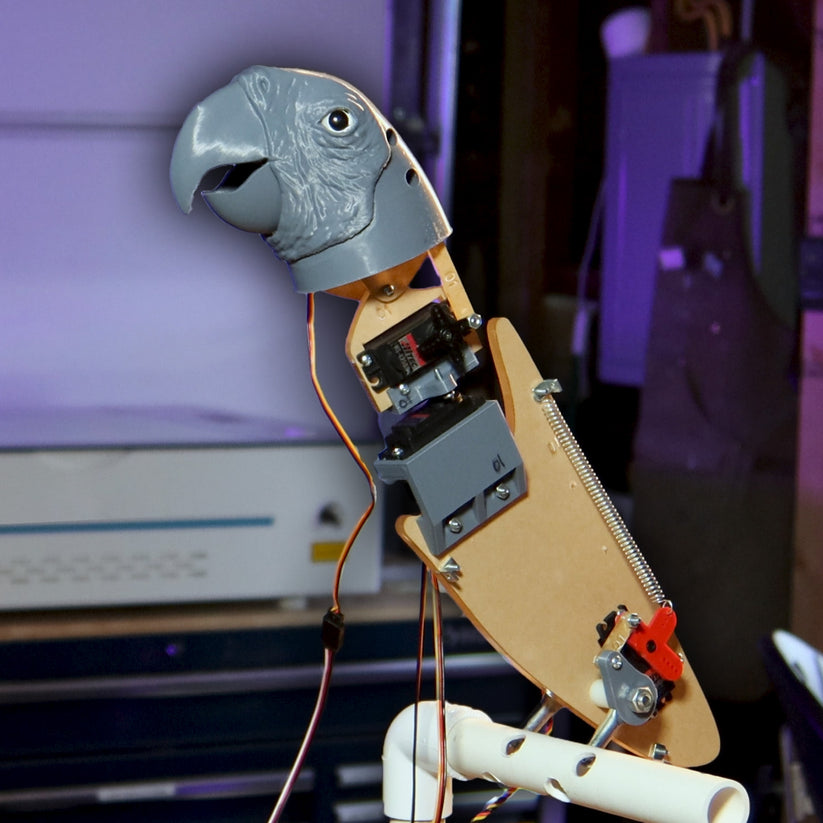 Animatronic Parrot Kit – Mr. Chicken's Prop Shop